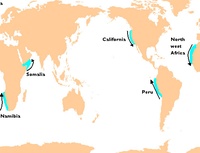 Upwelling and Downwelling in the ocean - Redmap