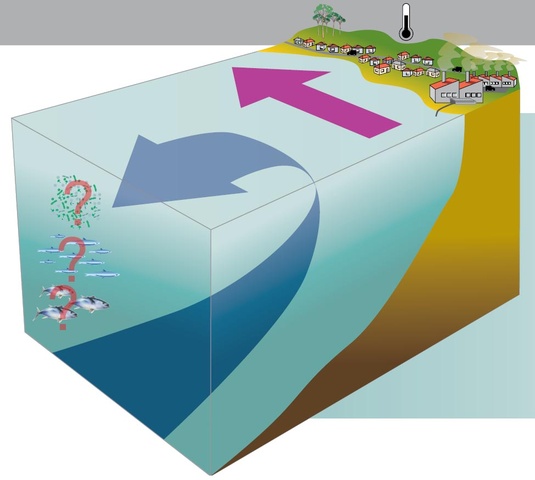 Upwelling and Downwelling in the ocean - Redmap