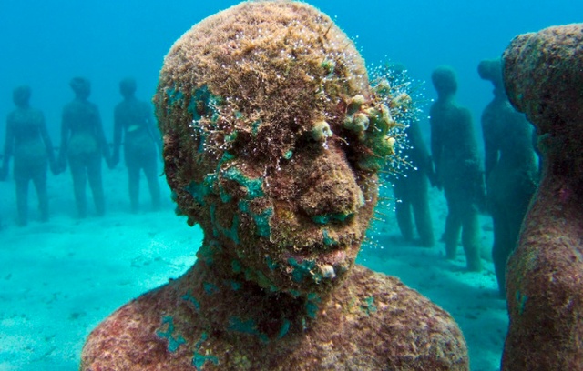 ARTificial reefs - Redmap