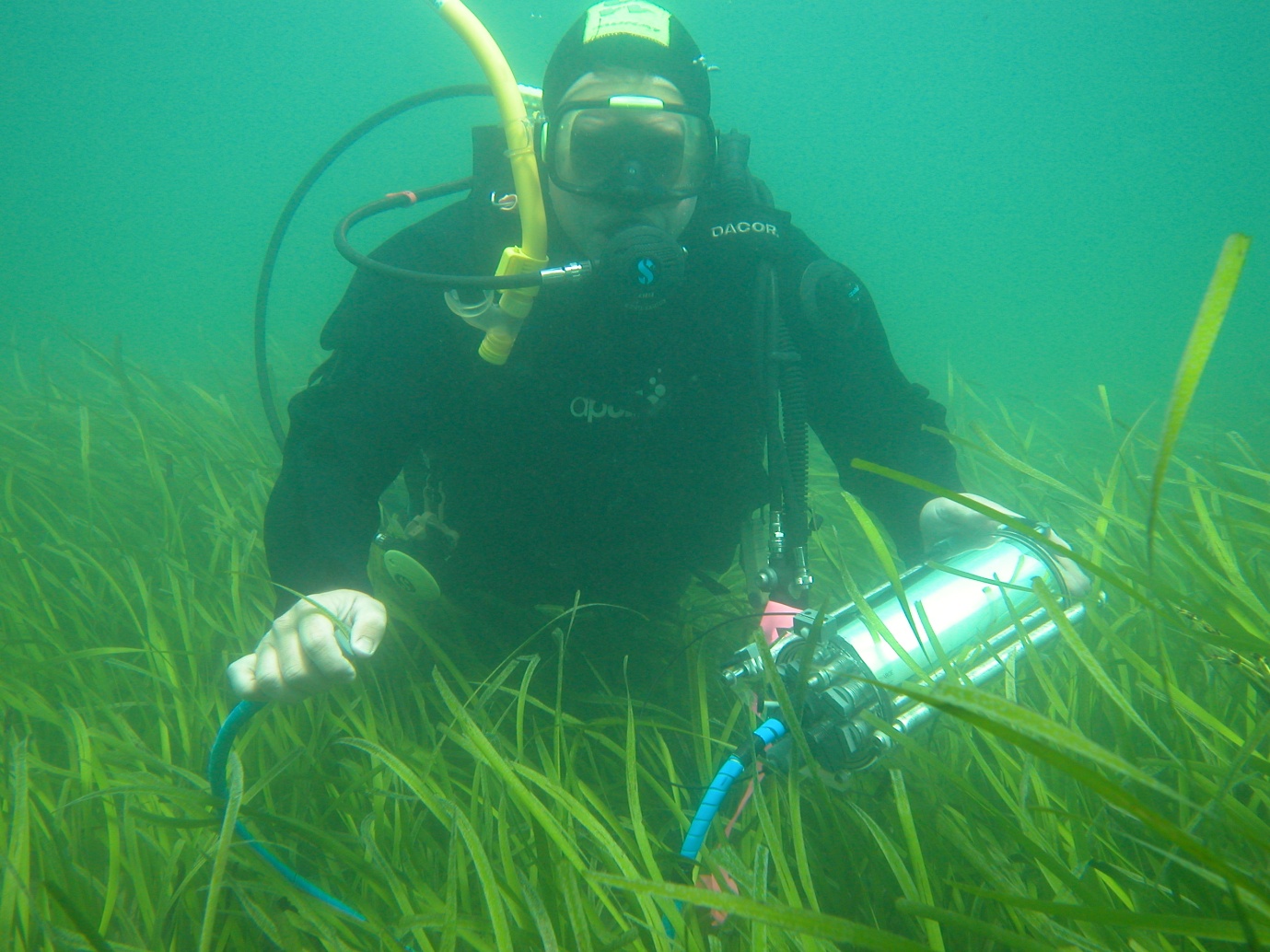 Redmap Team - Redmap