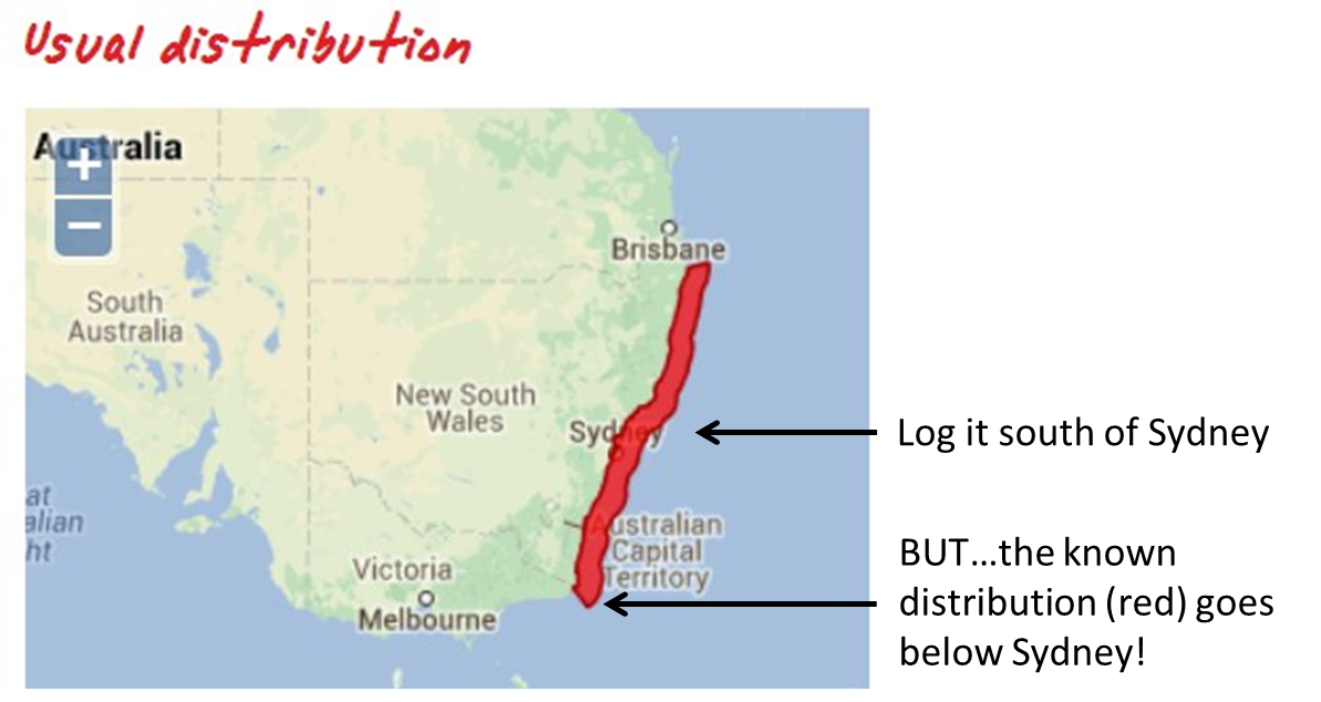 Have you ever wondered why the Redmap log it point might differ from ...