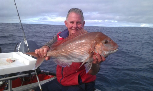 What the FISH? Catching ‘mainland’ fish in Tasmania - Redmap