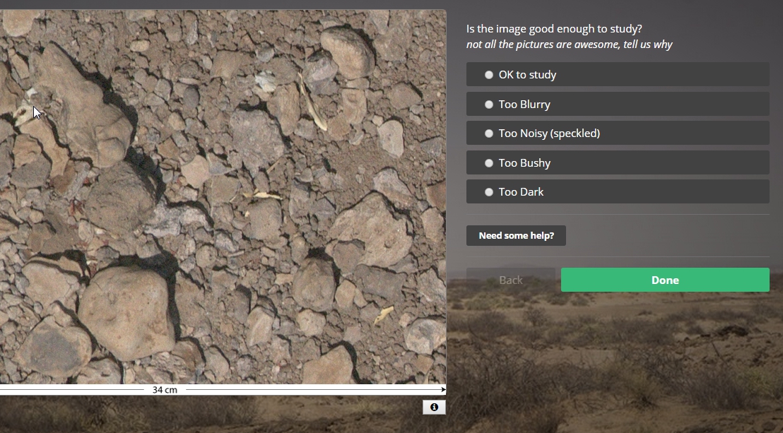 Citizen scientists identify fossils with Fossil finder - Redmap