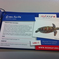 Redmap Tasmania's field guide - Redmap