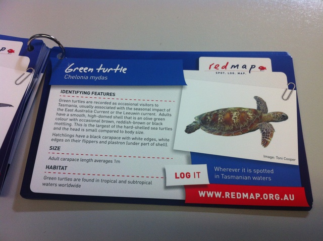 Redmap Tasmania's field guide - Redmap