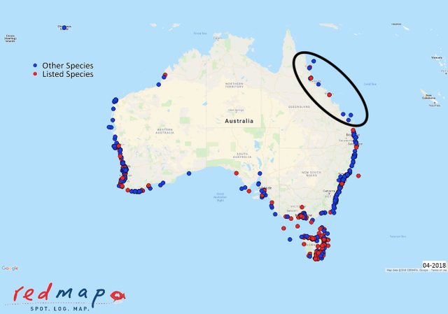 Redmap launches into Queensland waters! - Redmap
